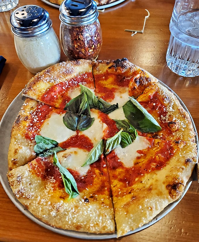 The Margherita pizza arrives like a work of art—charred crust, vibrant sauce, melty cheese, and basil leaves playing their perfect supporting roles.