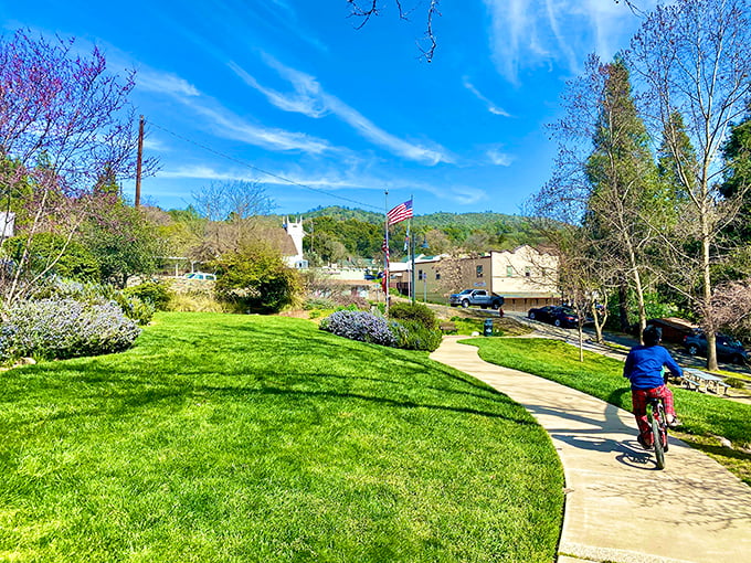 Mariposa County Arts Park: where creativity blooms alongside the wildflowers and nobody judges your watercolors.