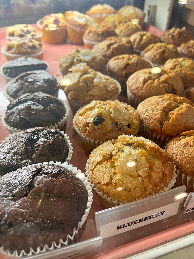 Muffin paradise found! Chocolate for the soul, blueberry for the health-conscious pretenders. These aren't just baked goods—they're morning motivation in paper wrappers.
