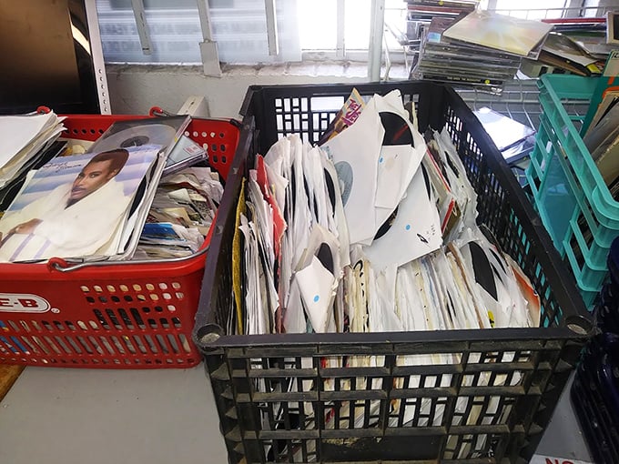 Vinyl enthusiasts, prepare to dig! These crates hold forgotten albums and potential rare finds that could complete your collection or start a new obsession.