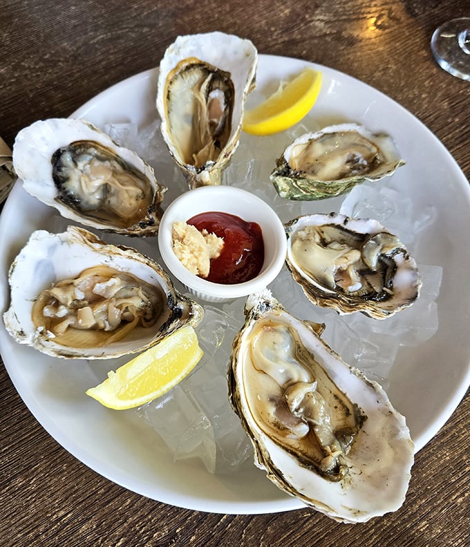 Oysters so fresh they practically taste like a sea breeze. Nature's perfect appetizer, served with just enough accoutrements to enhance, not overwhelm.