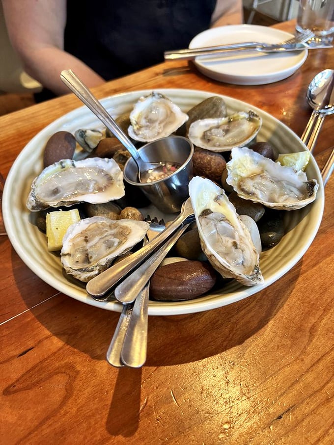 Fresh oysters nestled on ice – nature's perfect appetizer, tasting like the ocean decided to send you a personal postcard.