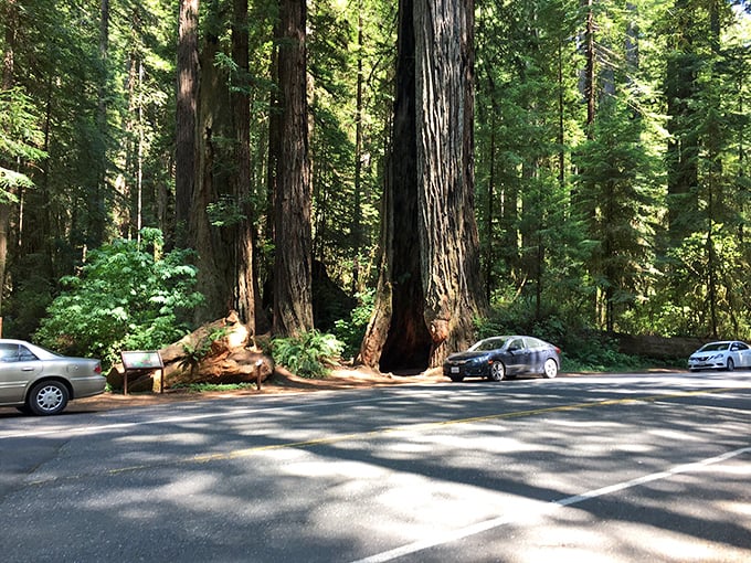 Parking spots with million-dollar views. Pull over, breathe deep, and remember why road trips were invented.