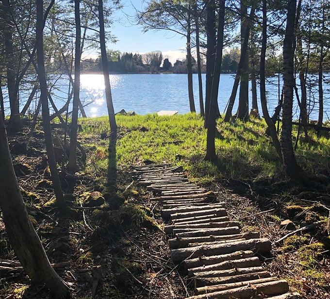 This rustic stairway doesn't just lead to water—it leads to your childhood memories of summer adventures. Each step down is a step away from adulting.