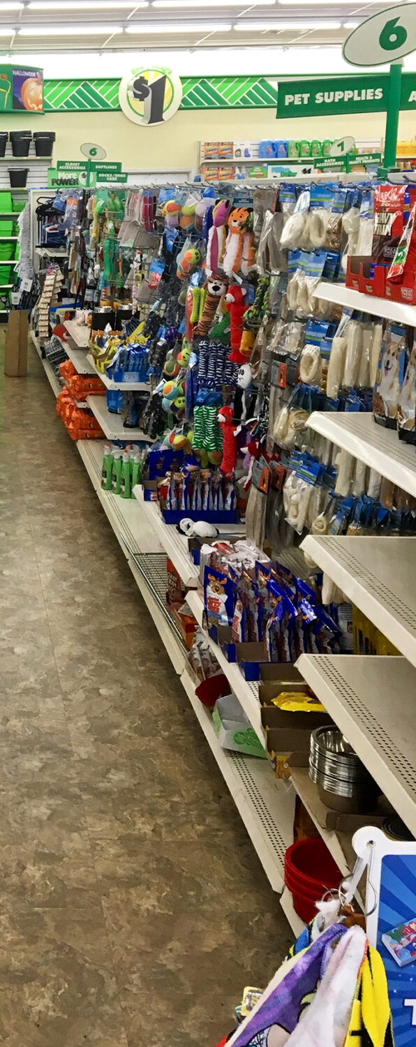 Puppy paradise at a price that won't make you howl! Pet toys, treats, and accessories that keep Fido happy without fetching your entire paycheck.