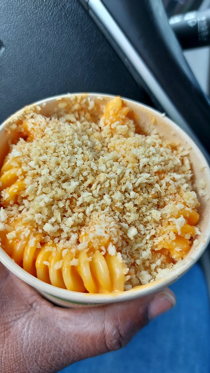 Mac and cheese that doesn't whisper comfort but shouts it, with a crown of breadcrumbs that adds the perfect textural counterpoint.