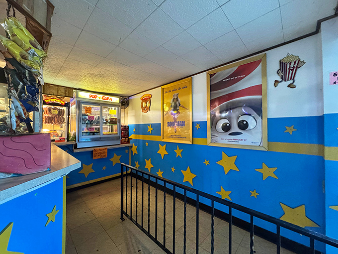 Stars on the walls and stars on the screen—this concession area's whimsical decor promises childhood delight regardless of your actual age.