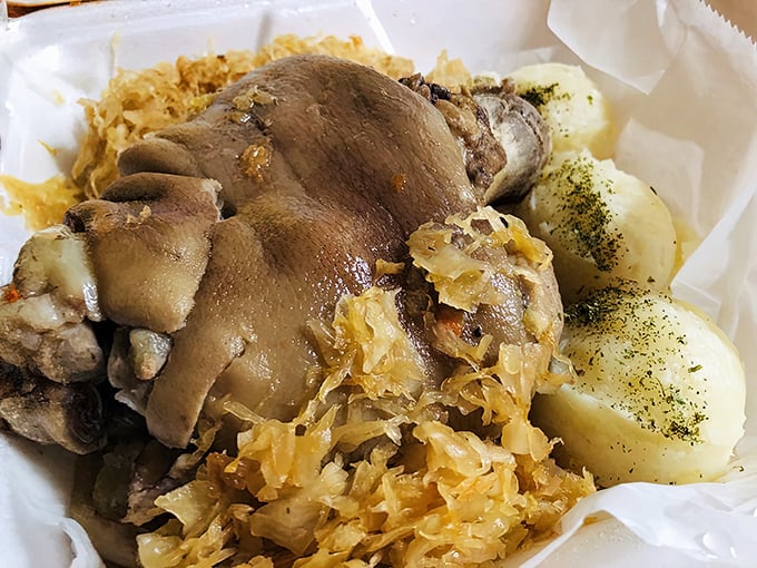 A Polish feast fit for royalty – tender pork knuckle nestled among sauerkraut and potatoes, proving that humble ingredients make extraordinary meals. 