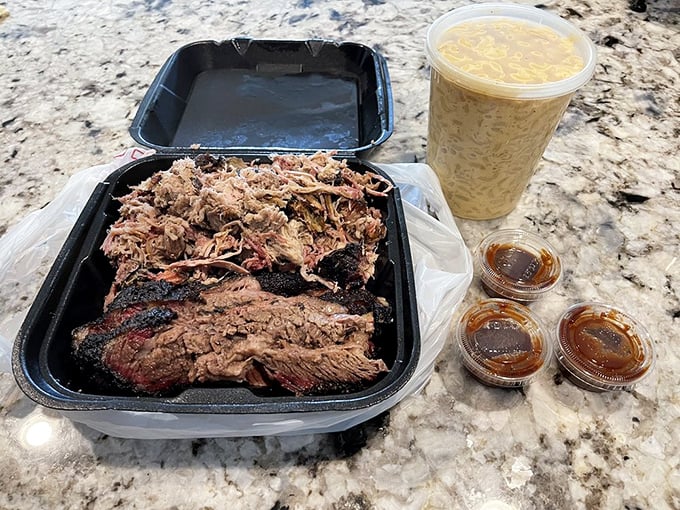 A takeout container of BBQ heaven—brisket and pulled pork with sauce on the side. The kind of meal that makes you grateful for opposable thumbs.