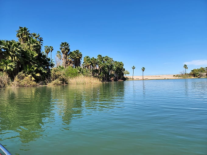 Palm trees reflect in tranquil waters, creating nature's perfect symmetry – a desert oasis that feels like finding treasure in an empty pocket.