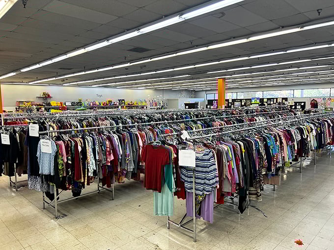 The clothing forest where fashion hunters stalk their prey. Each rack a different habitat of styles, waiting for their perfect match to come along.