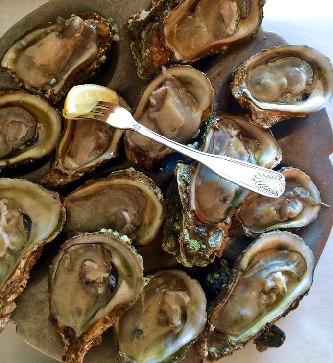 Apalachicola oysters on the half shell—briny, sweet, and fresh as a sea breeze. Just a squeeze of lemon is all these beauties need.