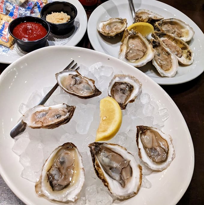 Fresh oysters on ice – nature's perfect appetizer that tastes like the ocean decided to send you a personal postcard.