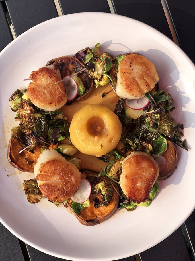 Perfectly seared scallops arranged like edible art, surrounded by sweet potato and greens—proof that sometimes the most beautiful circles aren't found in geometry class. 
