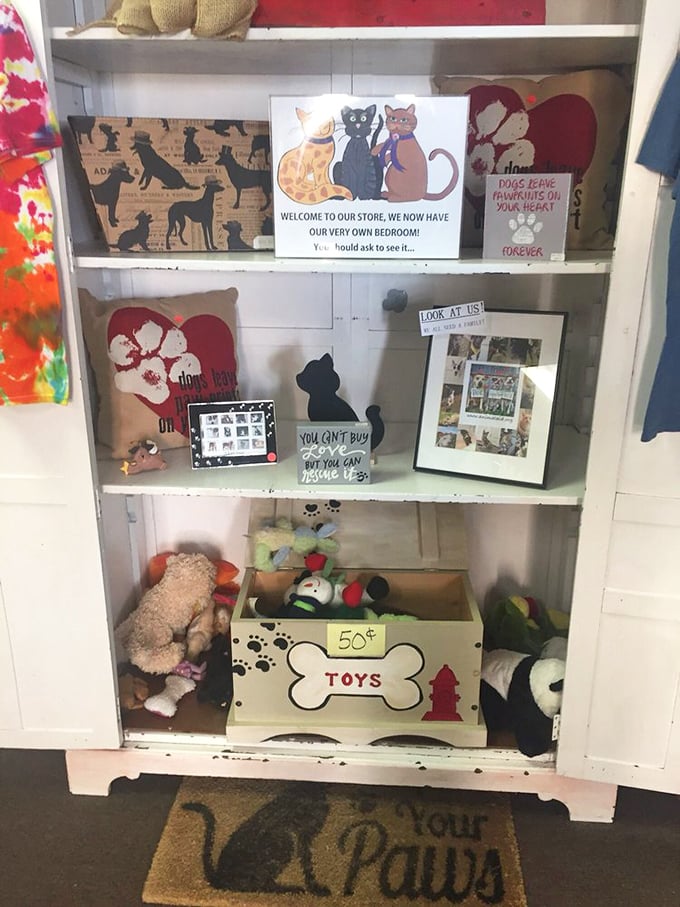 Pet-themed decor that reminds you why you're shopping here. Those "Dogs leave pawprints on your heart" signs hit differently when you know where the money goes.