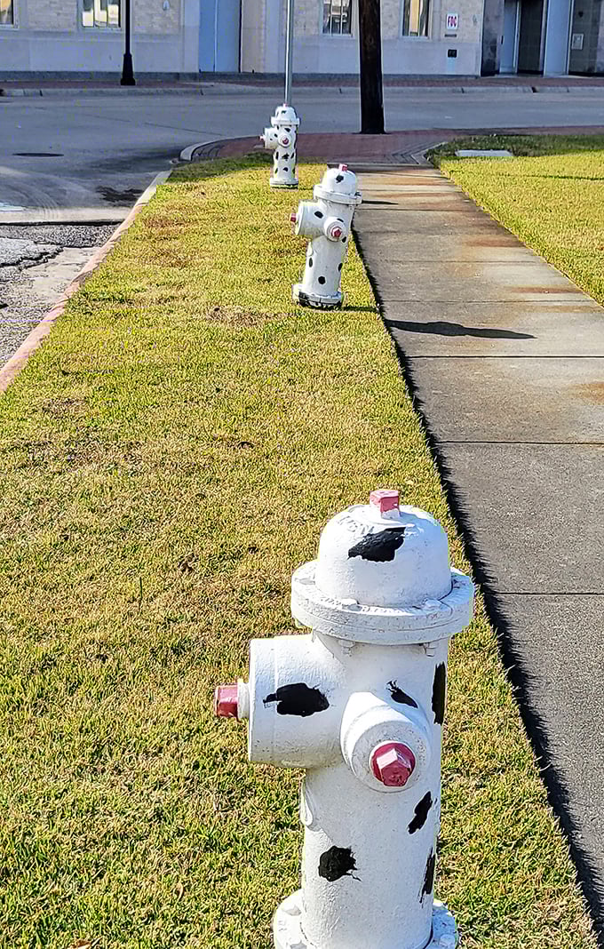 These adorable mini-hydrants line the streets like well-behaved children following their giant parent's spotted example.