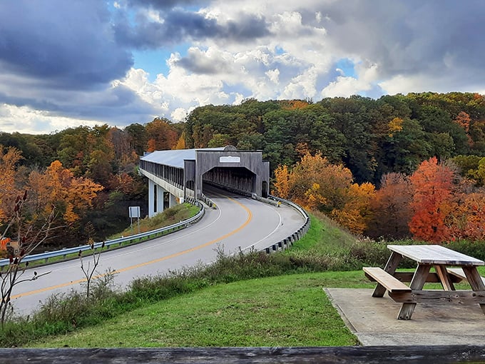 The bridge curves gracefully into fall foliage like it was designed by Mother Nature herself. Even picnic tables pause to admire.