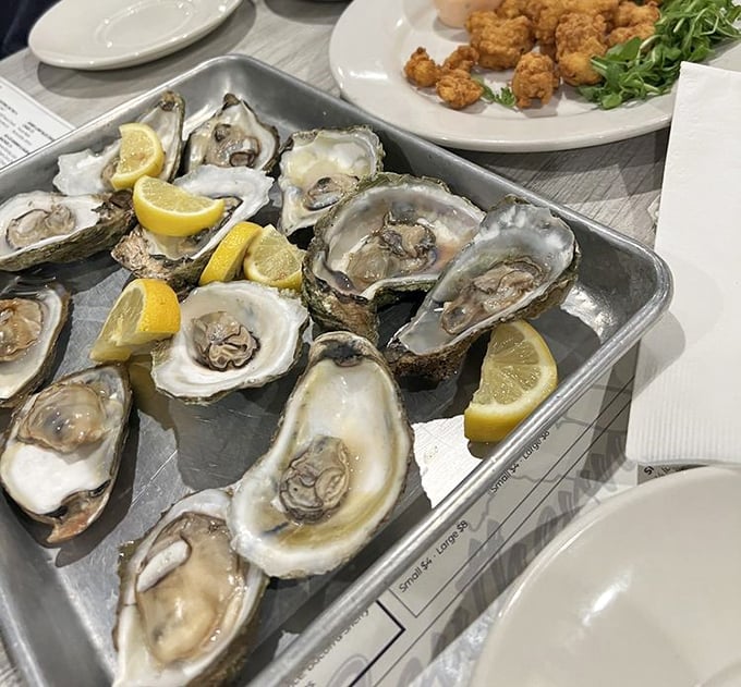 Oysters on the half shell – nature's perfect appetizer. Just a squeeze of lemon and you're tasting the Atlantic in all its briny glory