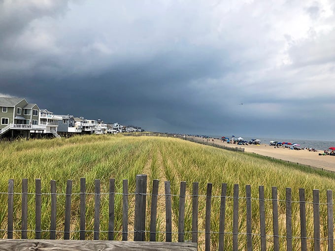 Storm clouds gathering over paradise create that dramatic lighting photographers dream about. Mother Nature's moody teenager phase is actually quite photogenic.