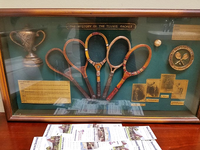 Not just tennis rackets—a time capsule of sporting evolution. This framed display proves even thrift stores can double as unexpected museums.