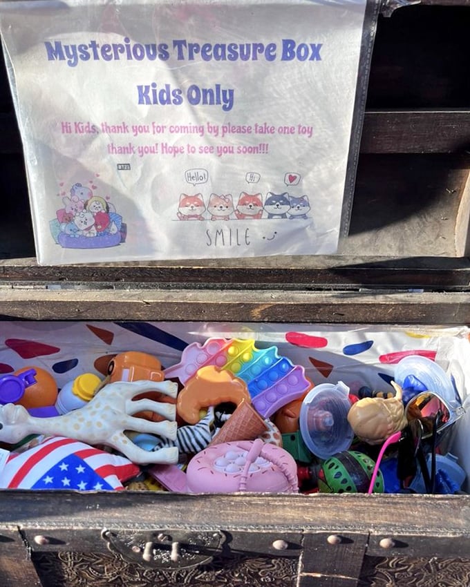 The "Mysterious Treasure Box" for kids isn't just free toys—it's the purest form of joy in a world of expensive electronics.
