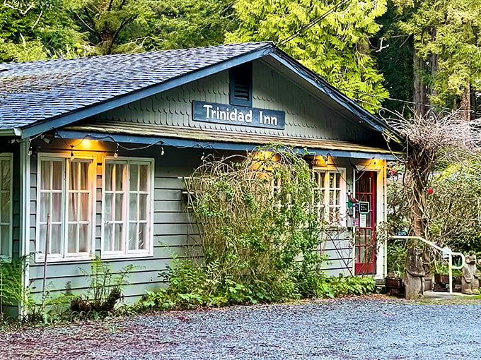 The Trinidad Inn looks like it was plucked straight from a storybook about cozy coastal getaways where mysterious but friendly locals gather.