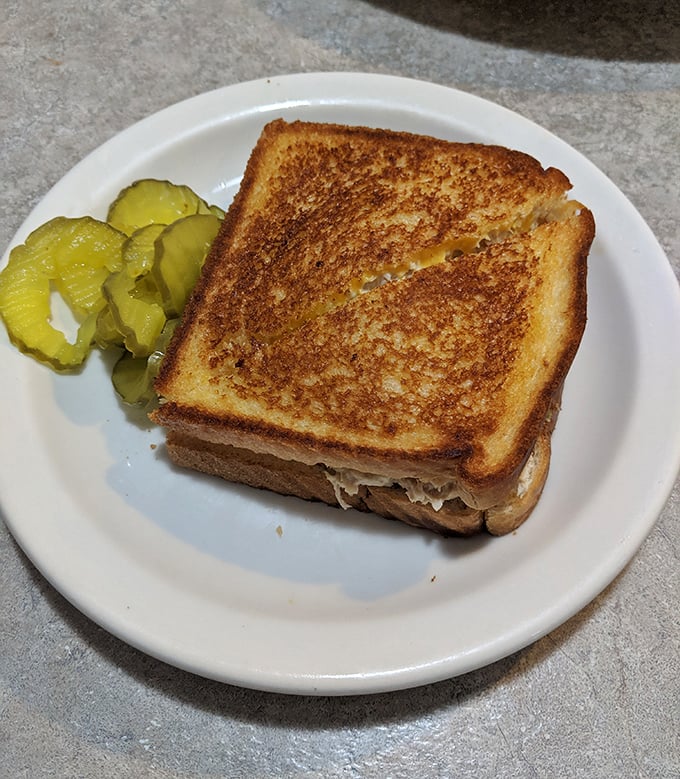 The humble tuna melt, elevated to art form. Golden-brown bread cradling creamy tuna salad—comfort food that hugs you from the inside.