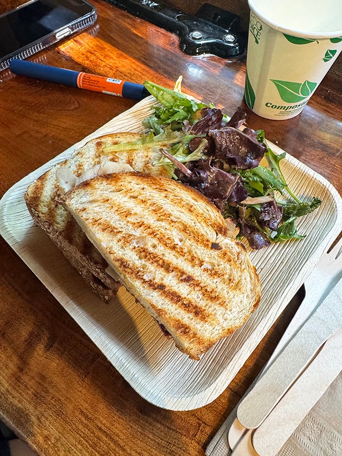 This isn't just lunch—it's a perfectly grilled sandwich with a side of "why don't mine ever look like this at home?"
