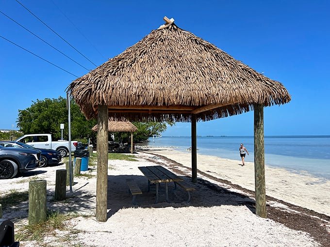 Simplicity perfected: A thatched chickee hut, a picnic table, and that water—sometimes the best amenities are the ones Mother Nature provides.