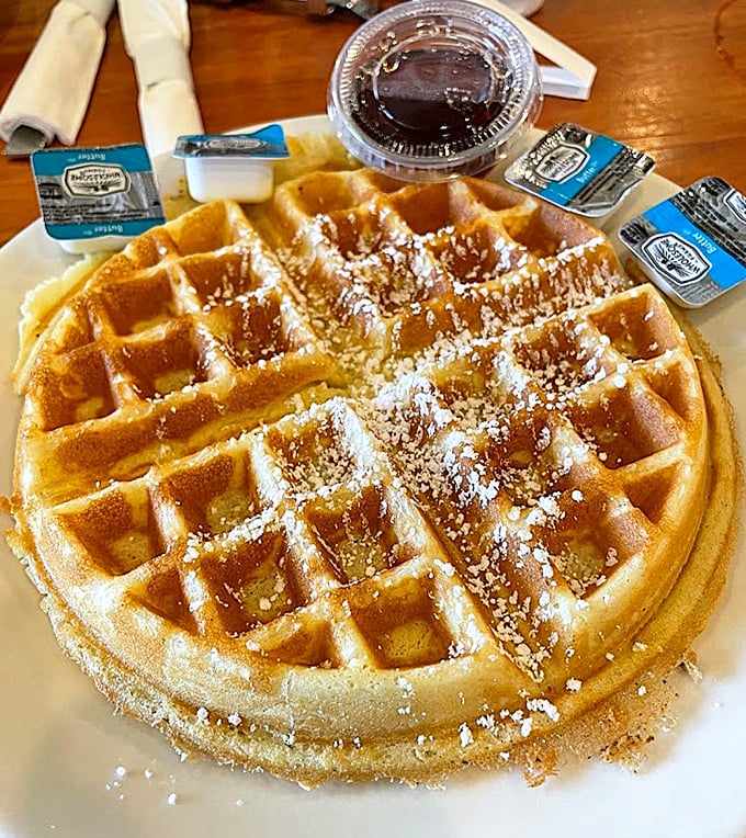 This golden waffle with its precise grid of syrup-catching squares is breakfast engineering at its finest. Crisp outside, fluffy inside—textbook perfection.