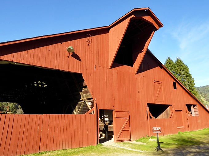 That classic red barn isn't just for show—it's part of the historic complex that once served Gold Rush travelers heading for fortune.