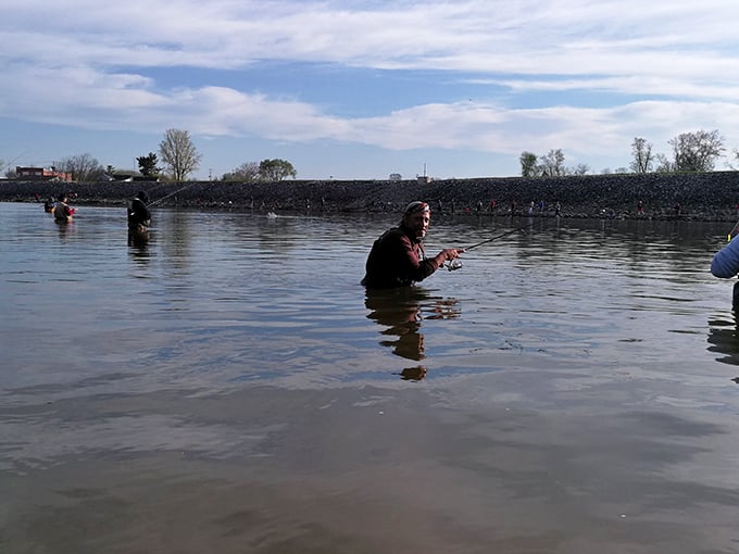 Anglers wade into Fremont's fishing spots where the thrill of the catch comes with no admission fee—just patience and a good story afterward.