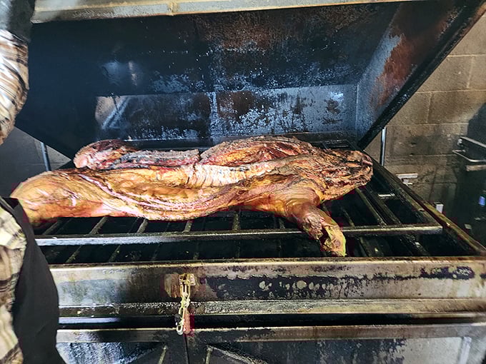 Behold the whole hog in its natural habitat—the smoker. This isn't cooking; it's a slow-motion love letter to pork.