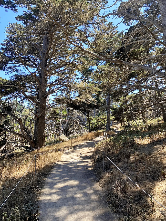 The trail beckons like a good mystery novel – you simply must discover what happens next. Spoiler alert: it's always worth the journey.