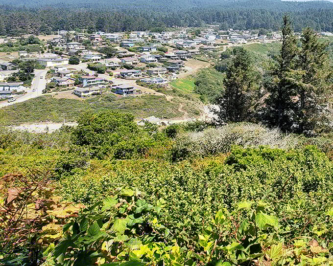 From above, Trinidad reveals itself as a village that refused to surrender to sprawl, nestled between emerald forests and the sapphire Pacific.