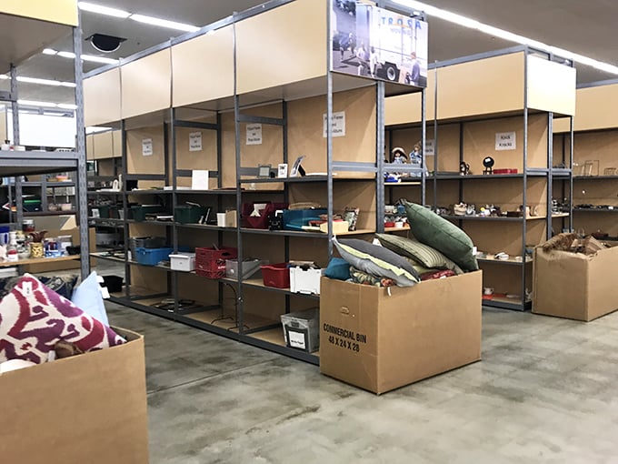 The organized chaos of shelving units holds countless possibilities. Each box and bin potentially contains that exact something you didn't know you needed.