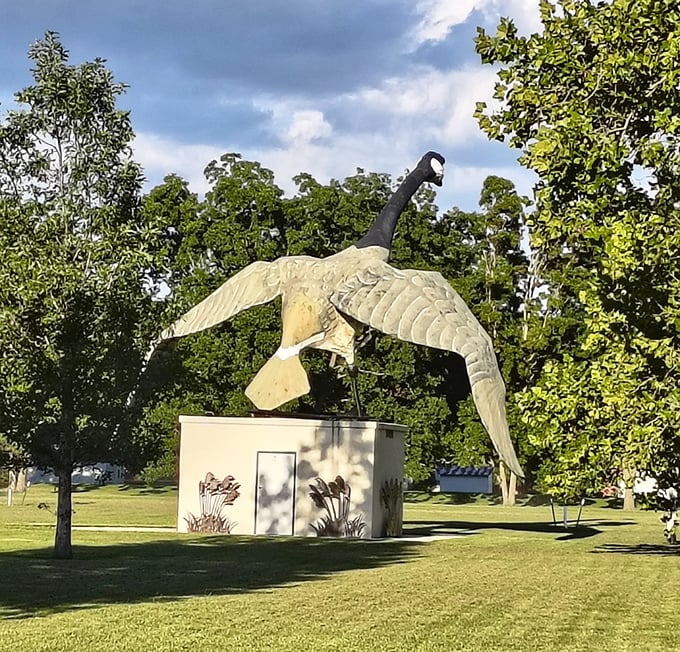 From this angle, Maxie appears ready for takeoff—a terrifying thought if you consider the wingspan of a 40-foot goose in actual flight.