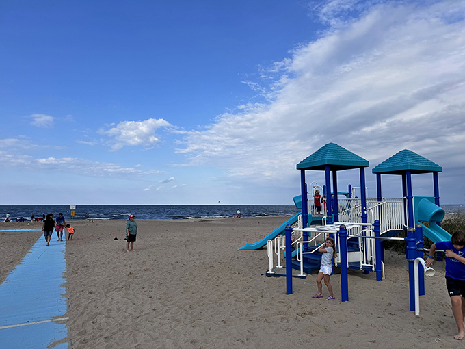 Childhood joy meets Lake Erie waves at the beach playground—because kids weren't already having enough fun with an entire lake.