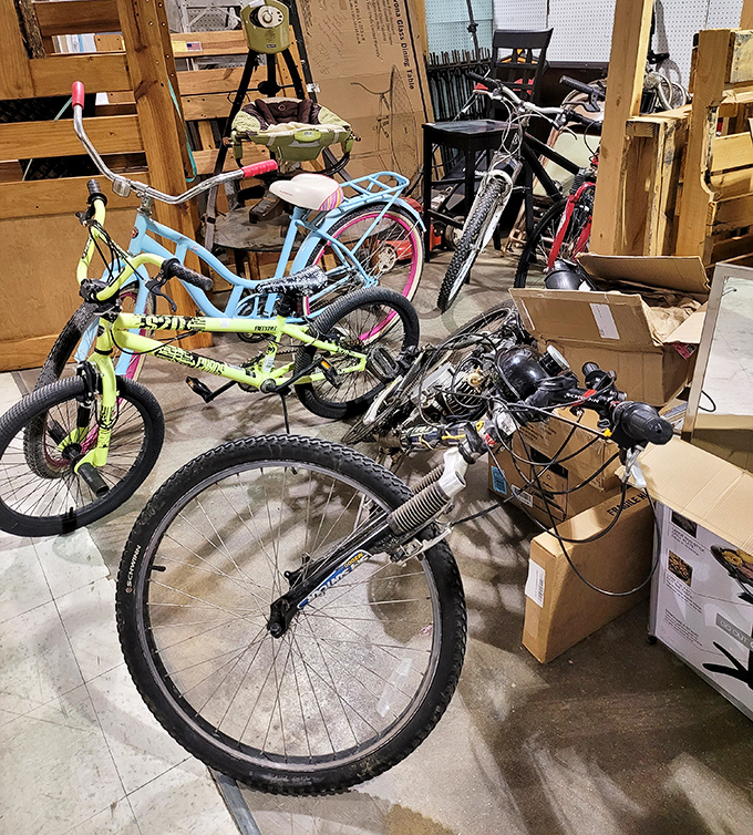Bicycle graveyard or two-wheeled opportunity? These pedal-powered possibilities just need a little TLC and air in their tires.