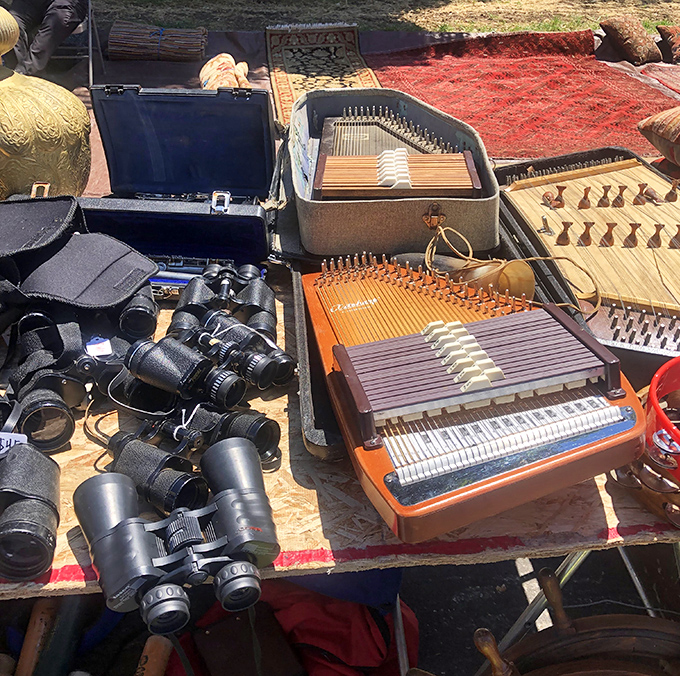 From binoculars to zithers, this table offers both ways to see the world and instruments to serenade it—analog treasures in our digital age.