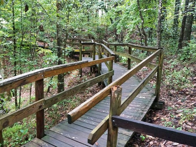 This zigzagging boardwalk through emerald foliage feels like you've stumbled into Fern Gully – just without the Robin Williams-voiced bat.