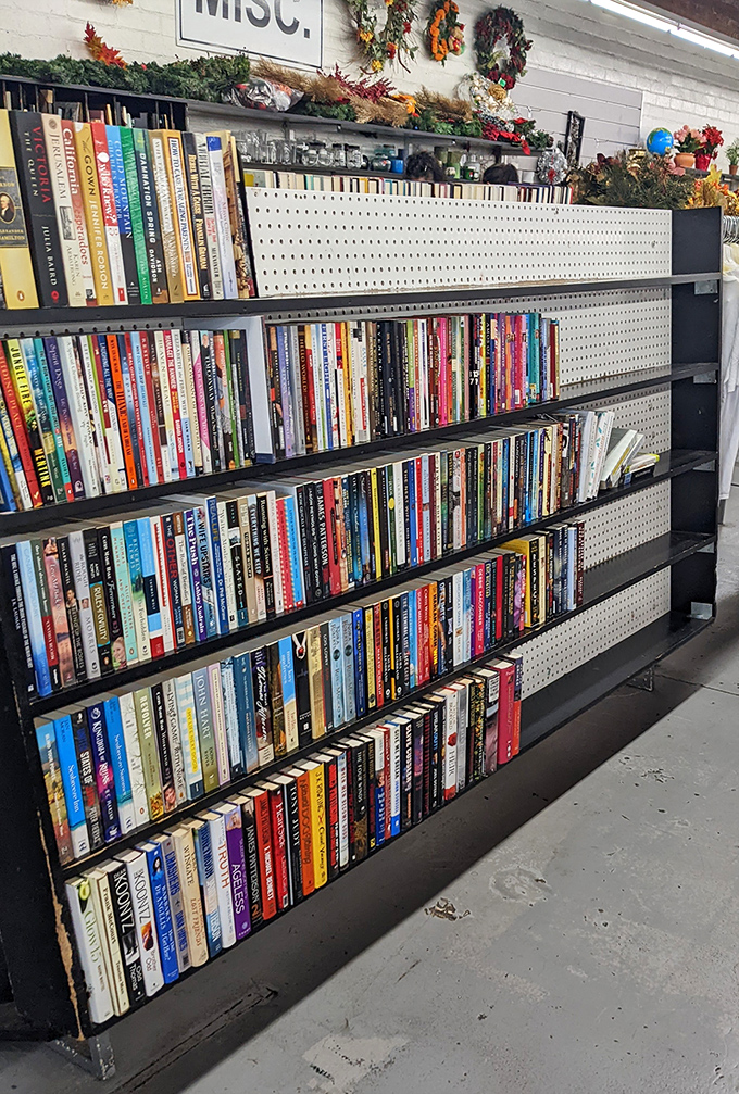 A literary buffet where paperback romances share shelf space with hardcover classics—brain food at bargain prices.