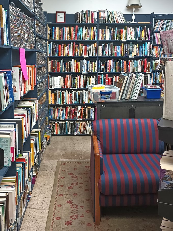 The book nook—where literary treasures and a comfy chair create the perfect recipe for losing track of time completely.