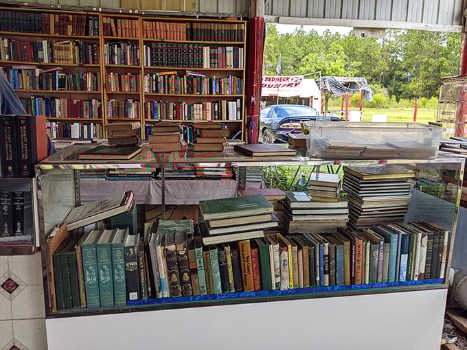 A bibliophile's paradise where dog-eared classics share shelf space with forgotten bestsellers. Each spine represents someone's once-beloved literary companion.