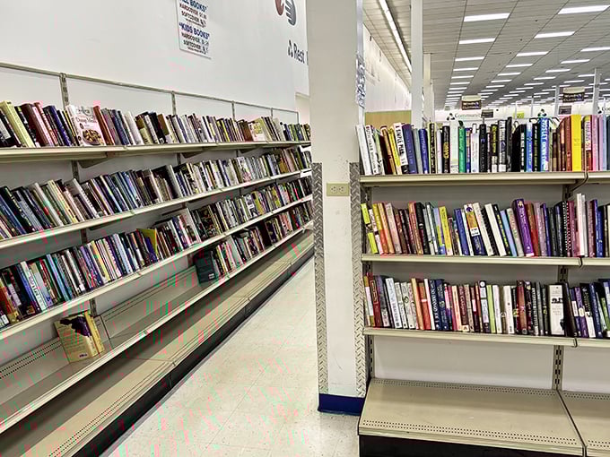 Books stretching toward infinity – each spine holding stories that cost less than your morning coffee.
