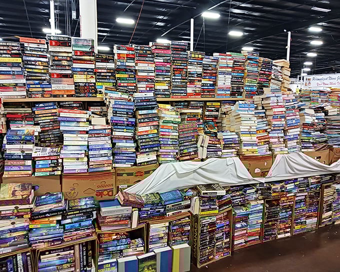 Book lover's dream or librarian's nightmare? These towering stacks contain stories waiting to be discovered for less than a fancy coffee.