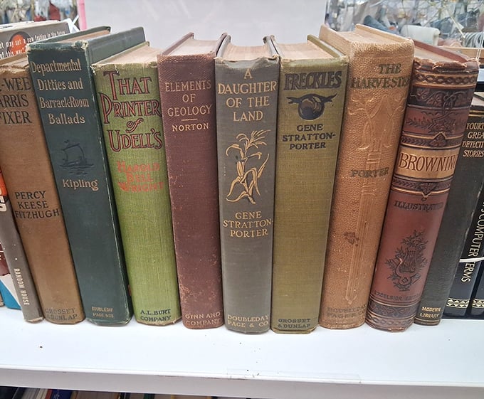 A row of vintage hardcovers stands like literary soldiers, their cloth spines telling stories before you even read a word inside.