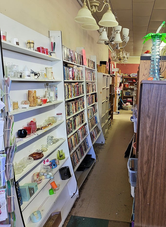 The book aisle – where literary treasures and forgotten bestsellers create the world's most democratic library. That chandelier overhead? Just bonus ambiance.