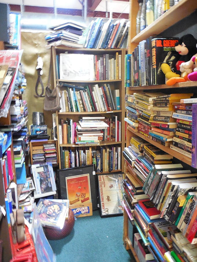 The book nook – where literary treasures and forgotten bestsellers create narrow canyons of knowledge that bibliophiles could get lost in for hours.