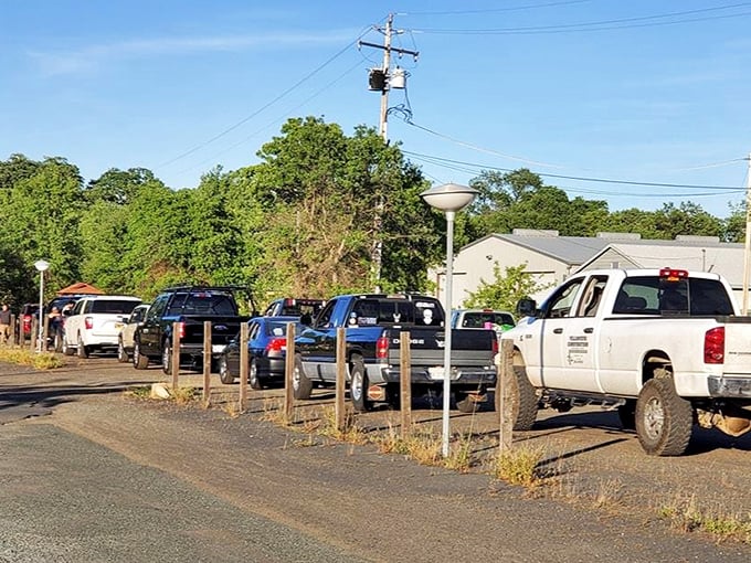 The entrance line—a parade of anticipation where vehicles become temporary living rooms and everyone arrives with the same hopeful expression.